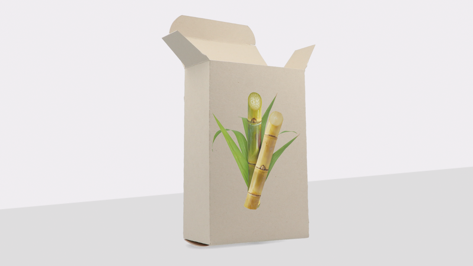 Custom and Printed Folding Boxes and Cardboards made from Sugarcane ...